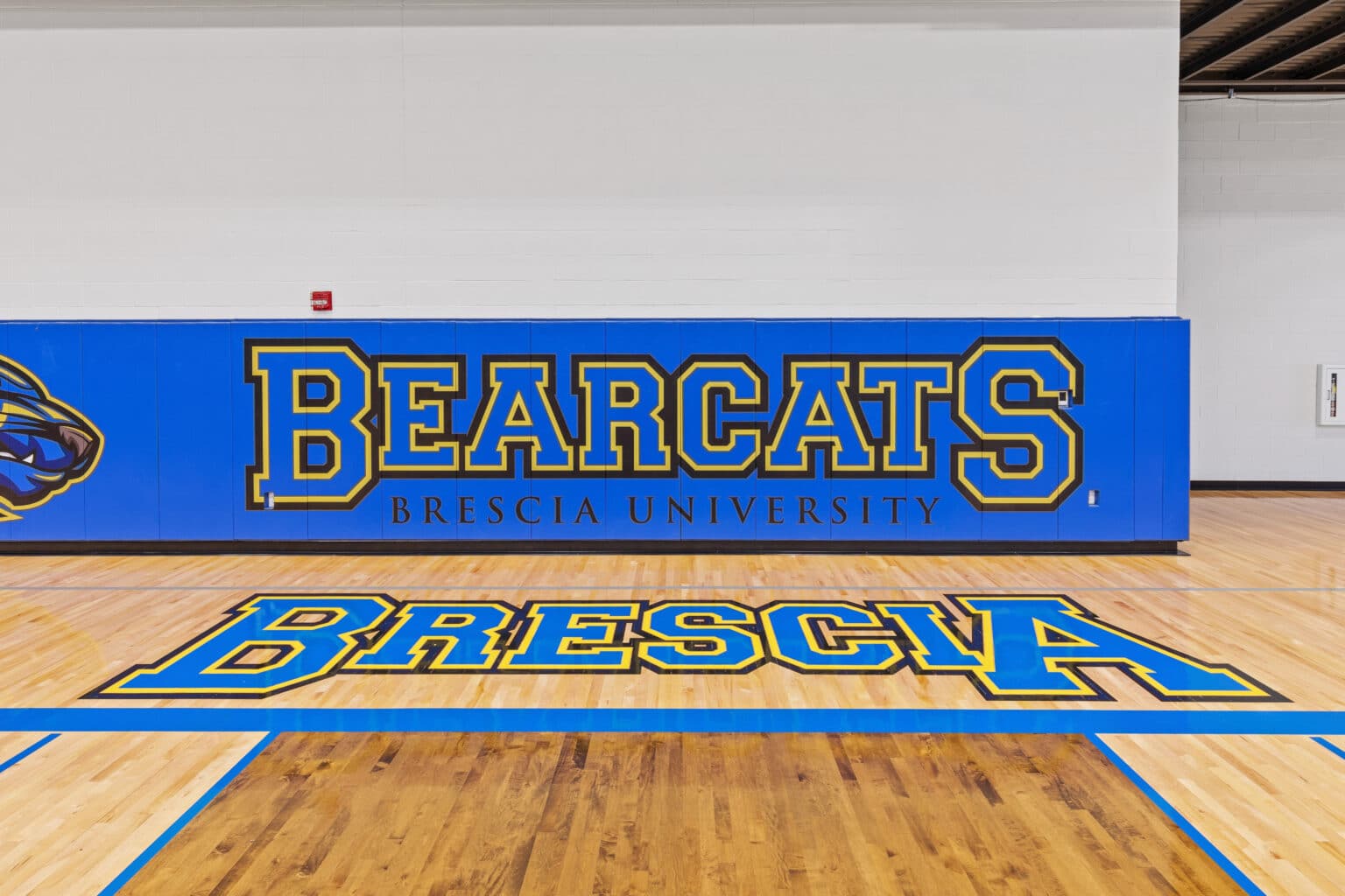 Brescia University – Owensboro, Kentucky – Catholic Liberal Arts Education